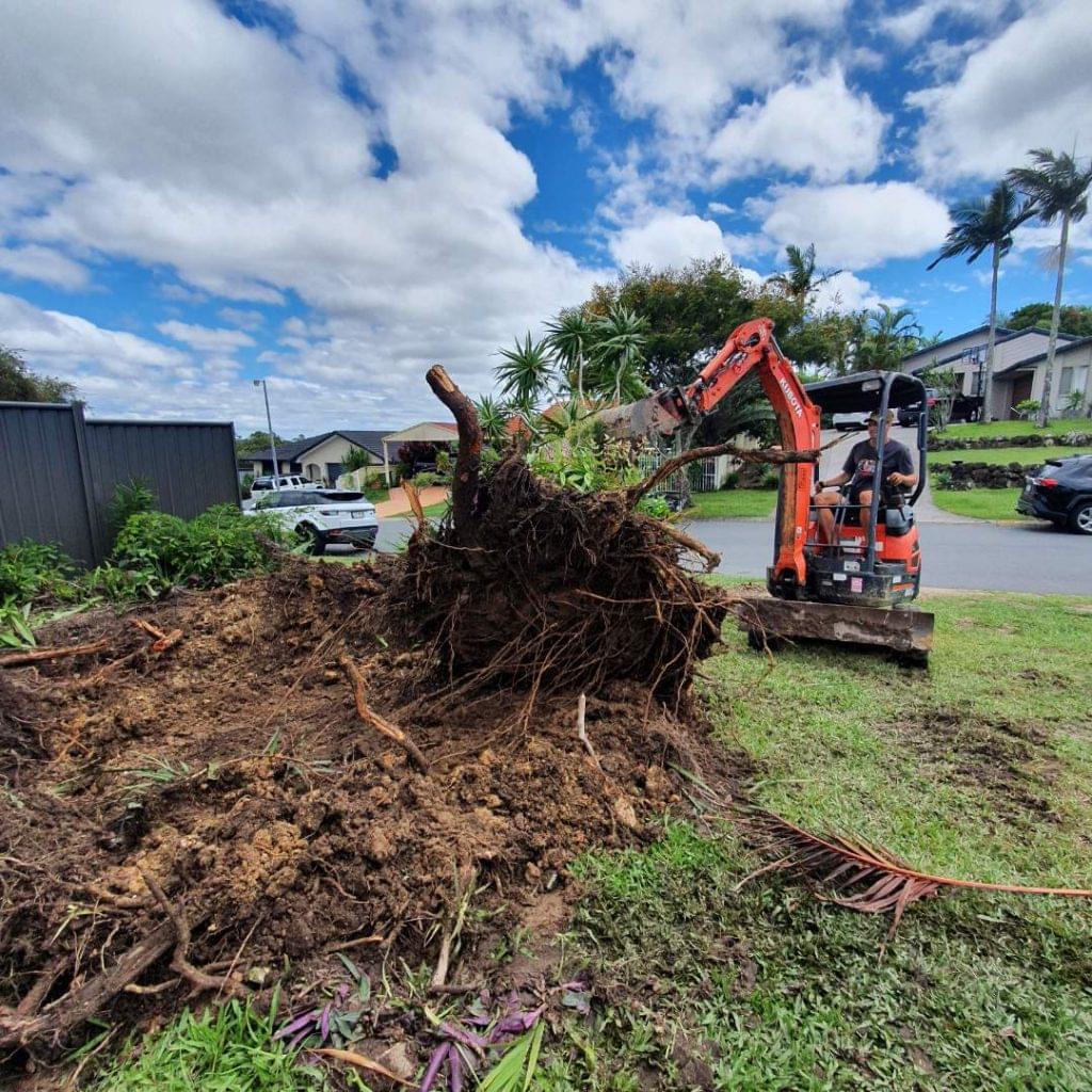 Tree Stump Removal Excavations Gold Coast - Mini Digger Excavator Hire ...